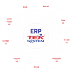 ERP Tek-System - Tek-System